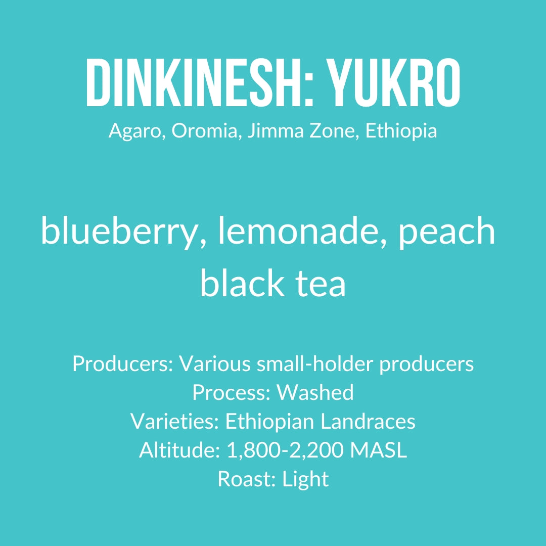 Dinkinesh: Yukro, Jimma, Ethiopia – Little Waves Coffee Roasters